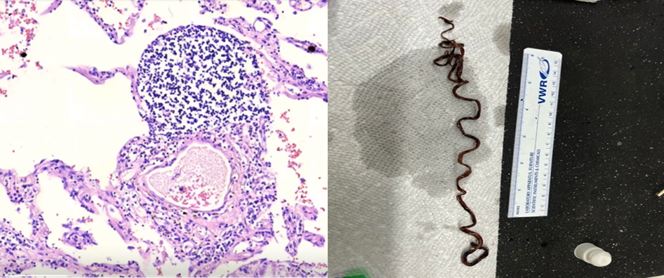 Blog | JOHN VUCKO PARTNERS in excellence | UXL