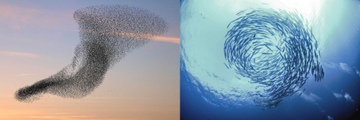 Vortex | JOHN VUCKO PARTNERS in excellence