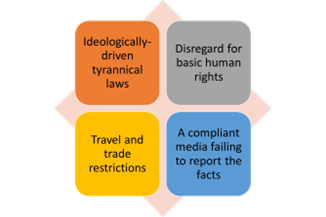 Holod Games | JOHN VUCKO PARTNERS in excellence