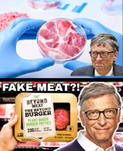 Holod Games | JOHN VUCKO PARTNERS in excellence